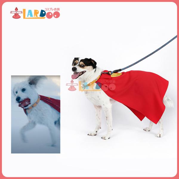 発送時間：商品名右側提示された配達情報ご参考ください。※細かい汚れや色落ちは不可避現象です。★お問い合わせとメール返信時間：24時間以内　お週末に頂いたメッセージは月曜日にご連絡させていただきます。予めご了承ください。営業日時間：平日10:...