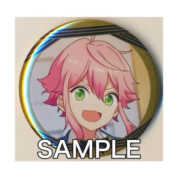 【発売日：2016年09月08日】商品名: あんさんぶるスターズ! キャラバッジコレクション Idol School Days Vol.2 Ver.A (缶バッジ) 姫宮桃李作品名: あんさんぶるスターズ!JANコード: 496152492...