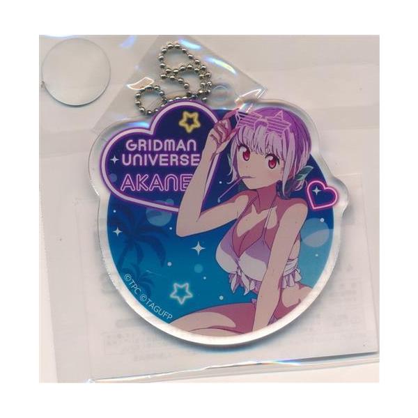 【発売日：2025年12月10日】商品名: くじコレ グリッドマン ユニバース ナイトプールver. C-02賞 アクリルキーホルダー 新条アカネ作品名: グリッドマン シリーズJANコード: 4571609144359商品番号: L076...