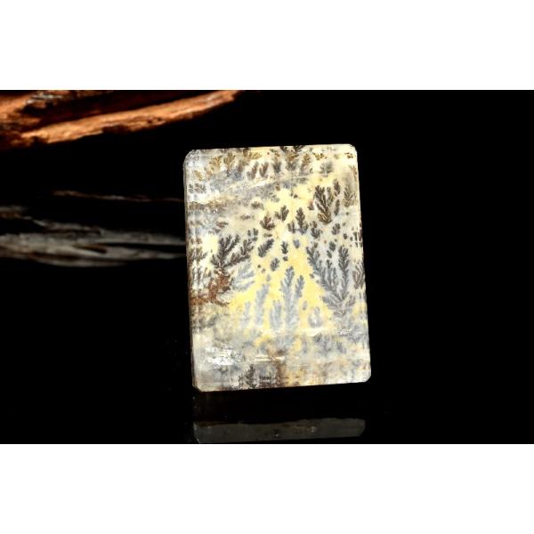 【材質】デンドリティッククォーツ 25x19mm 産地：ブラジル【サイズ】約25x19mm【重さ】約7g【特徴・意味】水晶いっぱいに広がる水彩画のような内包が圧巻です。金属鉱物のコロイド粒子が美しい枝のように見えて目を惹きます。独特の模様で...