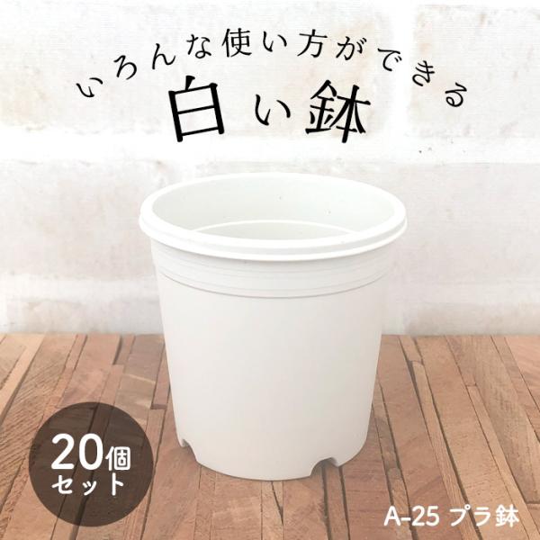 【特徴】植物を引き立てる、ミニマルデザインの白いプラ鉢です。人気のA-25番。カット苗の発根・生育にもオススメです。どんなインテリアにも馴染むシンプルなデザインで、場所を選ばず置いていただけます。容器の底には穴があり、水はけがよく、十分な水...