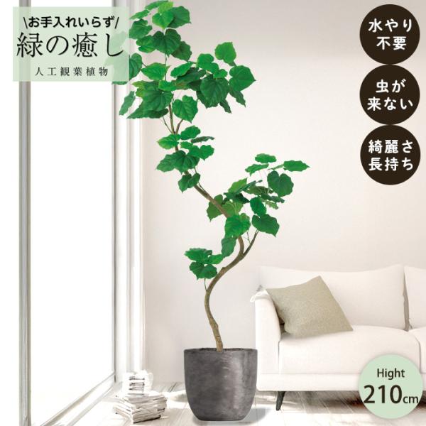 【特徴】丸みのある大きな葉が印象的なフィカス・ウンベラータのフェイクグリーン。ナチュラルでやさしい雰囲気の葉姿をリアルに再現し、お部屋に本物のグリーンがあるかのような癒やしの空間を演出します。モダンや北欧インテリア、カフェ風の空間とも好相性...