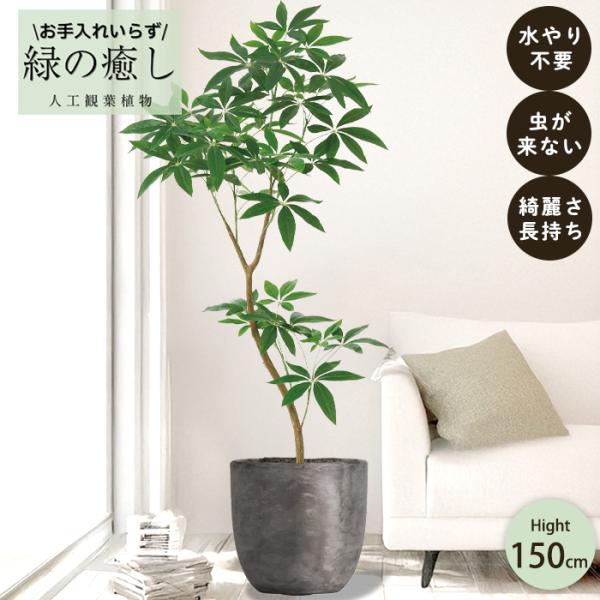 【特徴】すっきりとした幹と広がる手のひら状の葉が特徴的なパキラのフェイクグリーン。艶やかな葉や自然な枝ぶりをリアルに再現し、まるで本物のような存在感で空間に爽やかな彩りと癒やしを添えてくれます。ナチュラル・モダン・北欧・アジアンなど、幅広い...