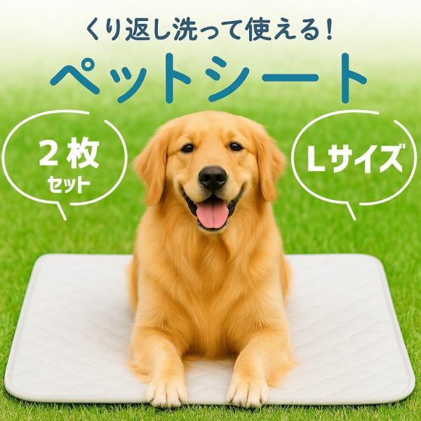 【洗えるペットシーツ Lサイズ2枚セット】◆ 吸水・防水の4層構造で床をしっかり保護◆ 滑り止め付きでズレにくく安心設計◆ 繰り返し使える厚型タイプ！環境にも経済的◆ 洗濯機OKでお手入れ簡単！速乾性◎◆ トイレトレーニング・介護用にも最適...