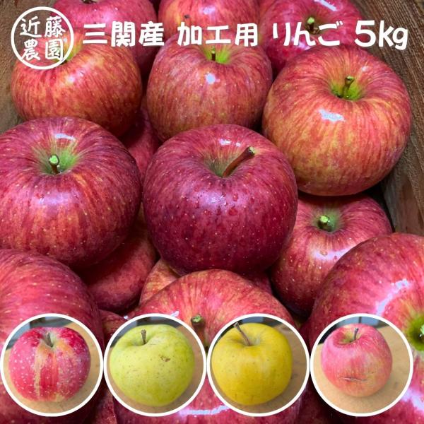 〇商品名加工用 訳あり りんご 大玉 小玉 ミックス ５キロ ( ふじ 王林 あきたゴールド シナノゴールド シナノスイート 紅あかり )〇ポイント秋田県湯沢市三関地区の肥沃な農地で小さな農家が丹精込めて作ったりんごです。秋から春まで、いろ...