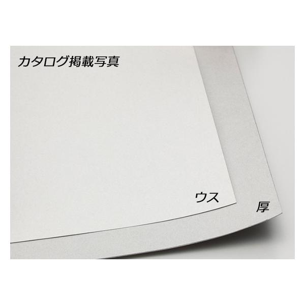 ■型番：E66002-10■販売価格：2860円（税込）　　/　　2600円（税抜）■商品名：【10枚セット】チケン紙 薄■色：グレー■サイズ：80×110cm■厚さ：0.3mm厚■内容：10枚■メール便について：この商品はメール便には対応...