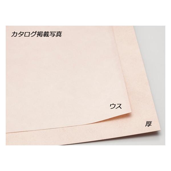 ■型番：E66003■販売価格：3410円（税込）　　/　　3100円（税抜）■商品名：バイリーン 厚■色：無地■サイズ：100cm巾■厚さ：0.6mm厚■内容：1m■メール便について：この商品はメール便には対応しておりません。■発送予定目...