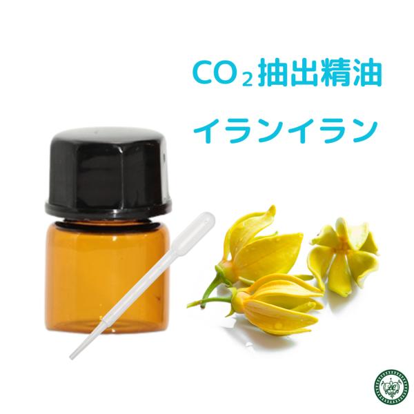 【CO2抽出（超臨界二酸化炭素抽出法）とは】二酸化炭素（CO2）を溶媒として植物から精油を抽出する方法です。低温で処理できるため、熱に弱い芳香成分を損なわず、より純度の高い精油を得ることが可能となります。学  名：Cananga odora...