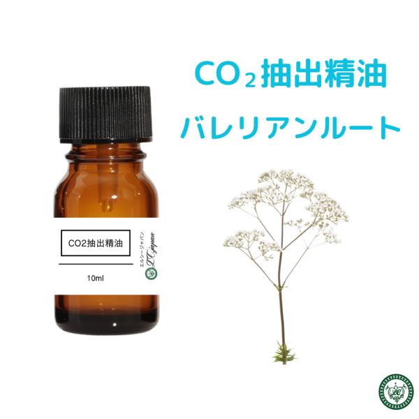 【CO2抽出（超臨界二酸化炭素抽出法）とは】二酸化炭素（CO2）を溶媒として植物から精油を抽出する方法です。低温で処理できるため、熱に弱い芳香成分を損なわず、より純度の高い精油を得ることが可能となります。バレリアンルートCO2オイル学名  ...