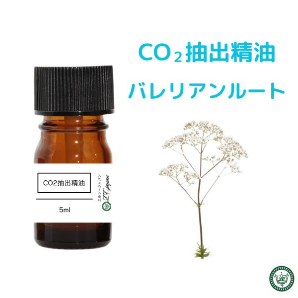 【CO2抽出（超臨界二酸化炭素抽出法）とは】二酸化炭素（CO2）を溶媒として植物から精油を抽出する方法です。低温で処理できるため、熱に弱い芳香成分を損なわず、より純度の高い精油を得ることが可能となります。バレリアンルートCO2オイル学名  ...