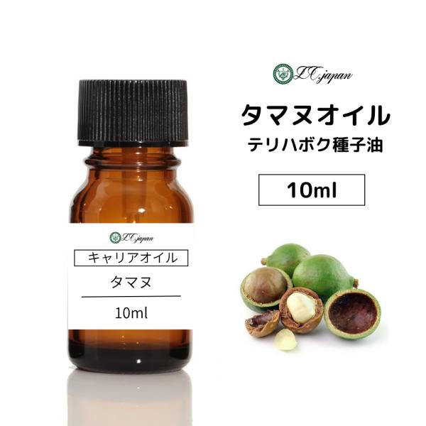 商品：カロフィラムオイル タマヌオイル容量：10ml部位：種 荷姿：瓶産地：インド産成分：オレイン酸（36〜53％）、リノレン酸（20~38％）、パルミチン酸（10〜１８.5％）、ステアリン酸（11〜20％）、αリノレン酸（〜１％）他製法：...