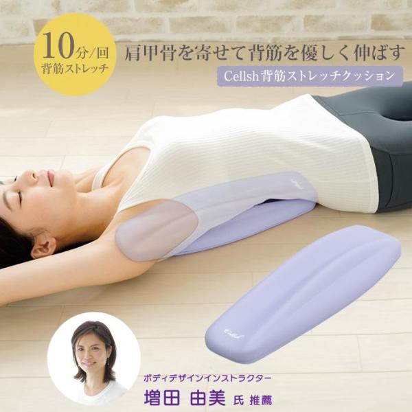 1回10分の背筋ストレッチでリフレッシュ。仕事や家事の休憩時間に。寝転ぶだけで胸を開いて、背筋をぐーんと伸ばす。【商品説明】ぐーんと伸びて気持ちいい！！肩甲骨を寄せて背筋を優しく伸ばす、10分背筋ストレッチアーチサポートラインで、胸がグイっ...