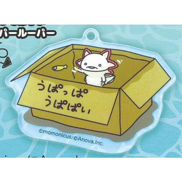 (C)momonicus / Anova,Inc. カプセル商品についてはカプセル・ブックレットが付かない場合があります。食玩についてはお菓子、外箱は付いておらず玩具のみの販売となります。