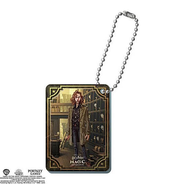 HARRY POTTER: MAGIC AWAKENED, PORTKEY GAMES, WIZARDING WORLD characters, names and related indicia (C) and TM Warner Bro...