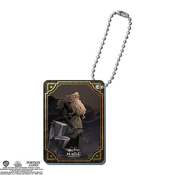 HARRY POTTER: MAGIC AWAKENED, PORTKEY GAMES, WIZARDING WORLD characters, names and related indicia (C) and TM Warner Bro...