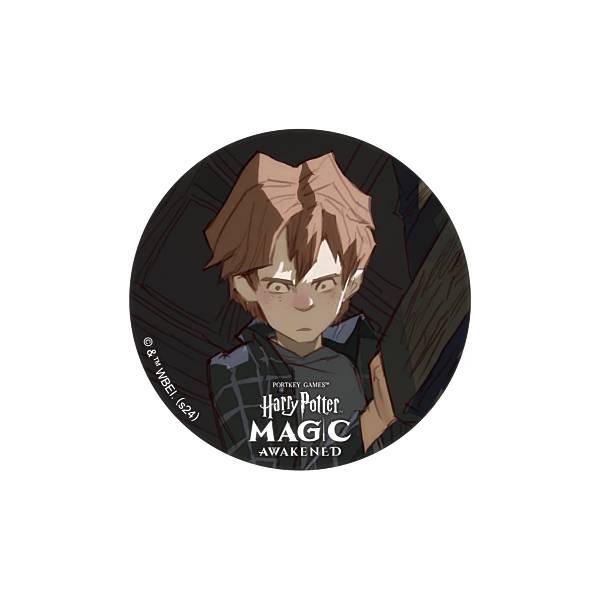 WIZARDING WORLD characters, names, and related indicia are (c) &amp; TM Warner Bros. Entertainment Inc. WB SHIELD: (c) &...