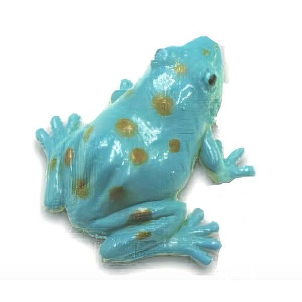 (c)BEAM カプセル商品についてはカプセル・ブックレットが付かない場合があります。食玩についてはお菓子、外箱は付いておらず玩具のみの販売となります。宅配便や、お手軽なメール便など様々な配送方法をご用意しております。