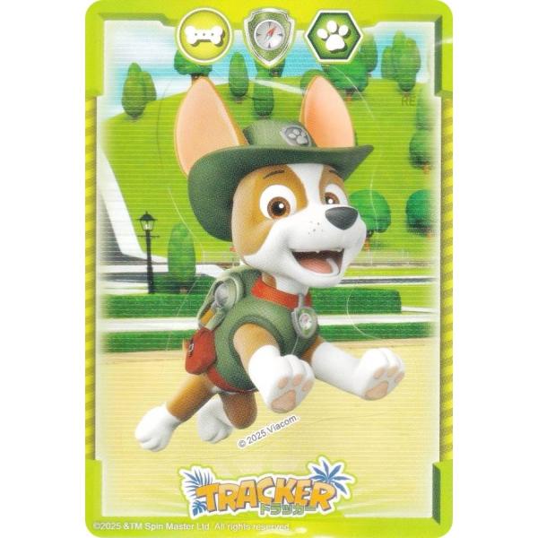 (c)2025 Spin Master Ltd. PAW PATROL and all related titles, logos, characters; and SPIN MASTER logo are trademarks of Sp...