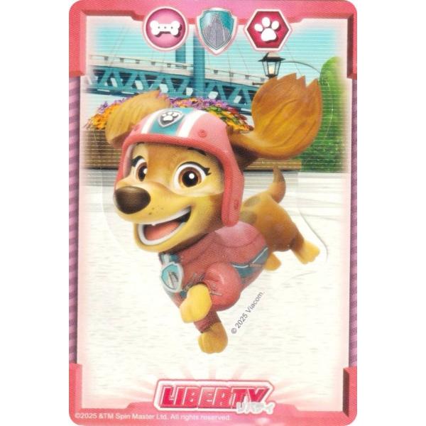 (c)2025 Spin Master Ltd. PAW PATROL and all related titles, logos, characters; and SPIN MASTER logo are trademarks of Sp...