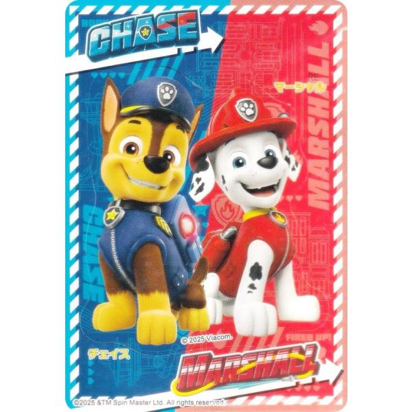 (c)2025 Spin Master Ltd. PAW PATROL and all related titles, logos, characters; and SPIN MASTER logo are trademarks of Sp...