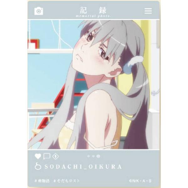 (C)西尾維新/講談社・アニプレックス・シャフト カプセル商品についてはカプセル・ブックレットが付かない場合があります。食玩についてはお菓子、外箱は付いておらず玩具のみの販売となります。