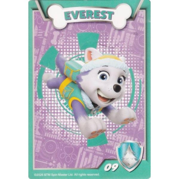 (c)2026 Spin Master.PAW PATOROL and all related titles,logos,characters;and SPIN MASTER logo are trademarks of Spin Mast...