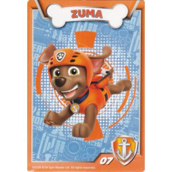 (c)2026 Spin Master.PAW PATOROL and all related titles,logos,characters;and SPIN MASTER logo are trademarks of Spin Mast...