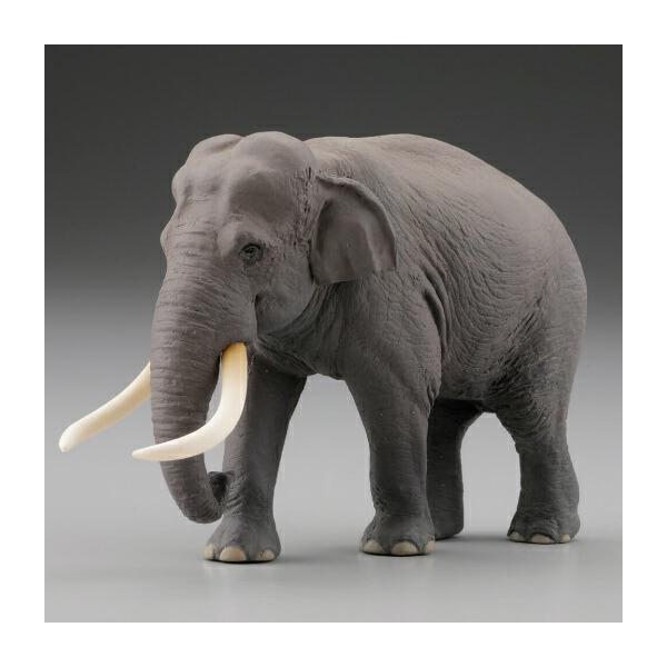 (c)KAIYODO 宅配便や、お手軽なメール便など様々な配送方法をご用意しております。