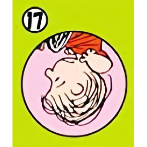 (c)2022 Penuts Worldwide LLC カプセル商品についてはカプセル・ブックレットが付かない場合があります。食玩についてはお菓子、外箱は付いておらず玩具のみの販売となります。宅配便や、お手軽なメール便など様々な配送方法を...