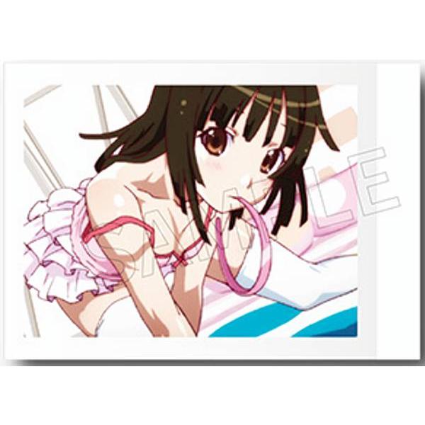 (C)西尾維新/講談社・アニプレックス・シャフト カプセル商品についてはカプセル・ブックレットが付かない場合があります。食玩についてはお菓子、外箱は付いておらず玩具のみの販売となります。