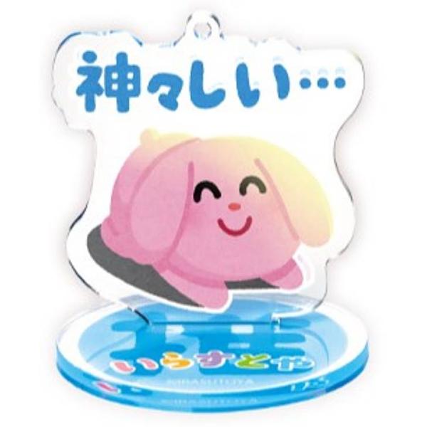 (C)TAKASHI MIFUNE カプセル商品についてはカプセル・ブックレットが付かない場合があります。食玩についてはお菓子、外箱は付いておらず玩具のみの販売となります。