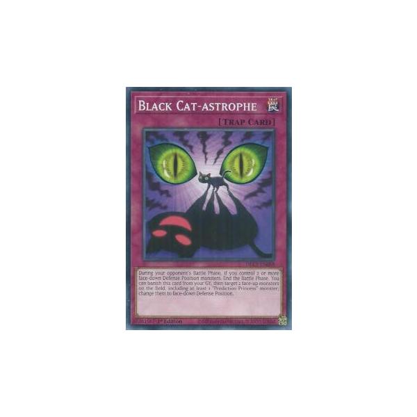 宅配便や、お手軽なメール便など様々な配送方法をご用意しております。