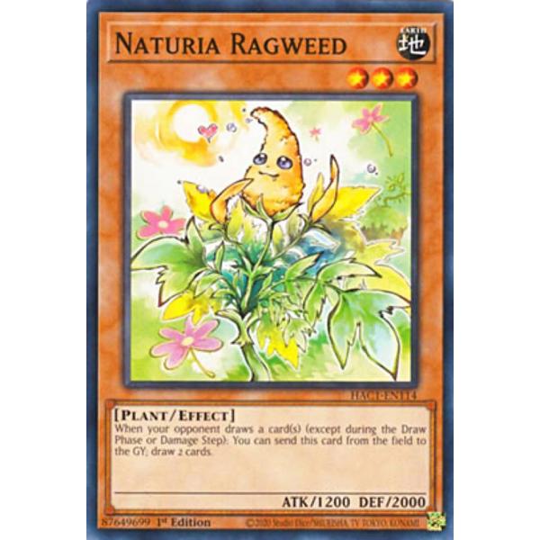 宅配便や、お手軽なメール便など様々な配送方法をご用意しております。