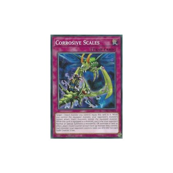 宅配便や、お手軽なメール便など様々な配送方法をご用意しております。