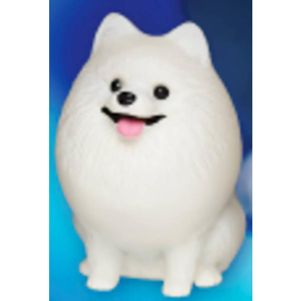 (C)zariganiworks カプセル商品についてはカプセル・ブックレットが付かない場合があります。食玩についてはお菓子、外箱は付いておらず玩具のみの販売となります。