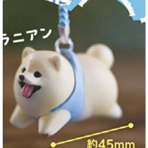 (C)montomi カプセル商品についてはカプセル・ブックレットが付かない場合があります。食玩についてはお菓子、外箱は付いておらず玩具のみの販売となります。