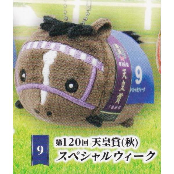 (c)UNP カプセル商品についてはカプセル・ブックレットが付かない場合があります。食玩についてはお菓子、外箱は付いておらず玩具のみの販売となります。