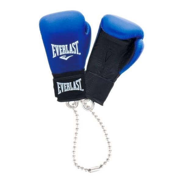 EVERLAST, the Econ device and GREATNESS IS WITHIN are trade maeks of Everlast World's Boxing Headquarters Coeporation an...