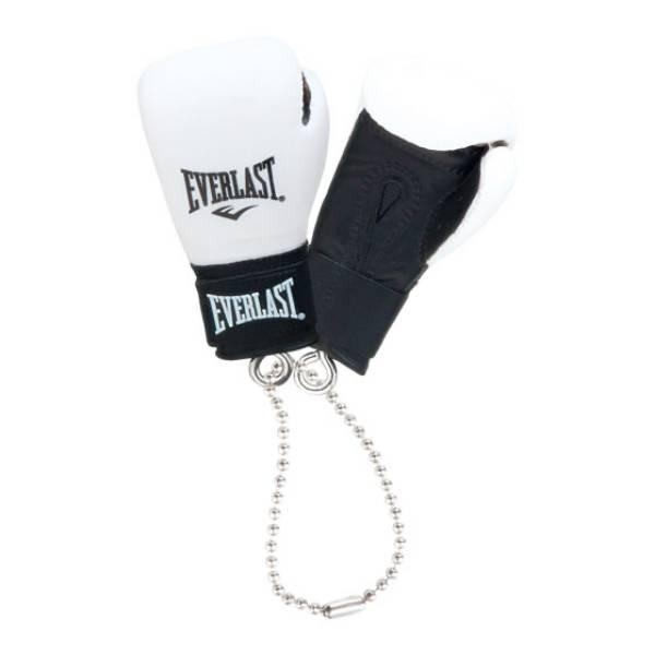 EVERLAST, the Econ device and GREATNESS IS WITHIN are trade maeks of Everlast World's Boxing Headquarters Coeporation an...