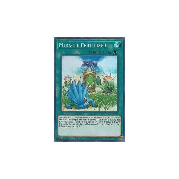 宅配便や、お手軽なメール便など様々な配送方法をご用意しております。