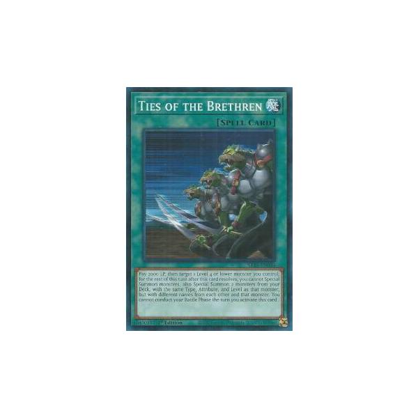 宅配便や、お手軽なメール便など様々な配送方法をご用意しております。