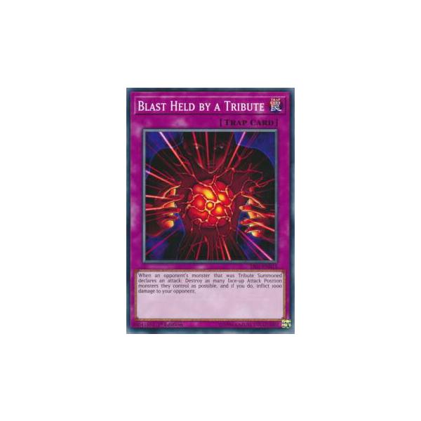 宅配便や、お手軽なメール便など様々な配送方法をご用意しております。