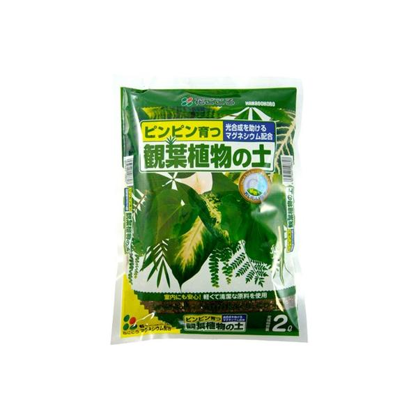 花ごころ 観葉植物の土 2L葉の色がよくなるマグネシウムを配合！