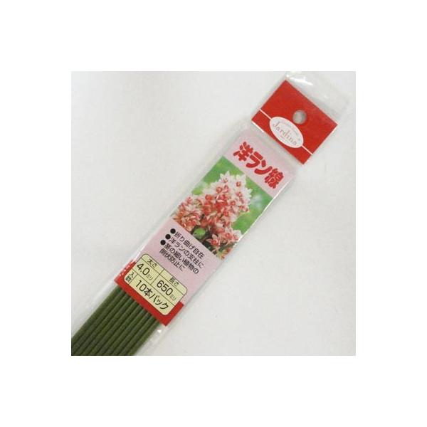 渡辺泰 洋ラン線10P 4.0×650mm折り曲げ自在の洋ラン支柱