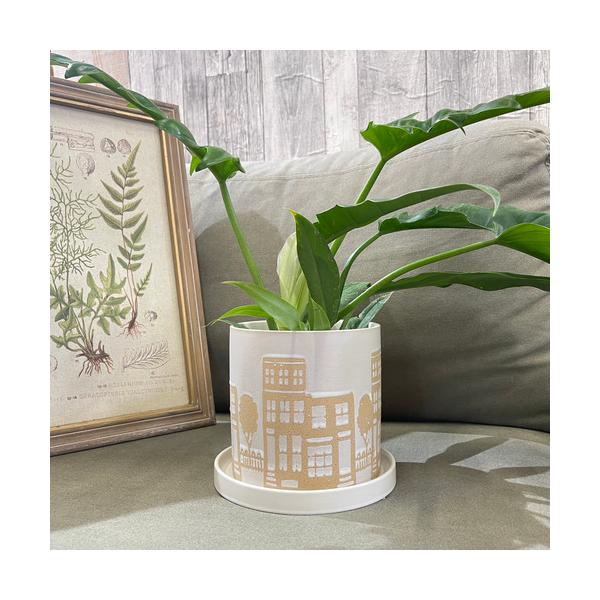 ■タグオシャレ お洒落 チェック リビング デスク 机 玄関 園芸 ガーデニング 植物 花 ギフト プレゼント お祝い 園芸好き 黄色 緑 贈り物 インテリア インテリアグリーン インドアグリーン 室内園芸 インテリアプランツ