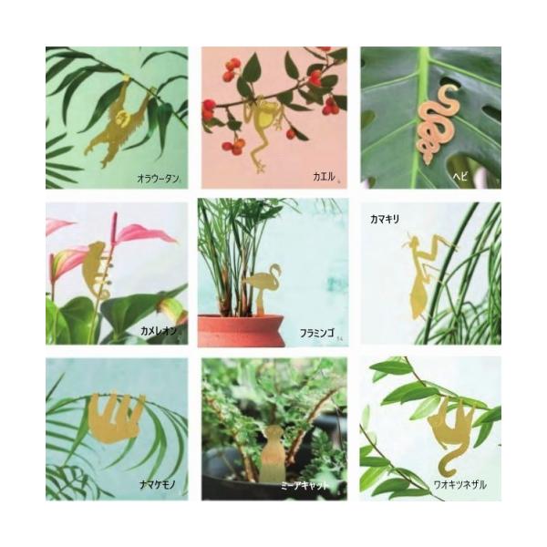たくさんの動物や虫たちがグリーンに集い、植物やお部屋を楽しく華やかに彩ってくれます！茎やツルにはモンキーやナマケモノがぶら下がり葉にはヘビが。そして地上からはこちらを見据えるミーアキャットやフラミンゴまで。グリーンに添えるミニギフトにもおす...