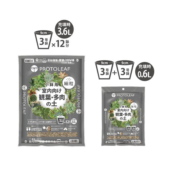 ■タグ便利 使いやすい 小袋 インテリアグリーン インドアグリーン インテリアプランツ 部屋 小鉢 硬質 丈夫 寄せ植え 人気 園芸 ガーデニング ガーデン プロトリーフ