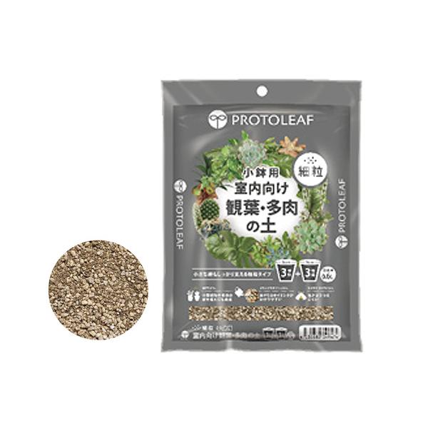 ■タグ便利 使いやすい 小袋 インテリアグリーン インドアグリーン インテリアプランツ 部屋 小鉢 硬質 丈夫 寄せ植え 人気 園芸 ガーデニング ガーデン プロトリーフ