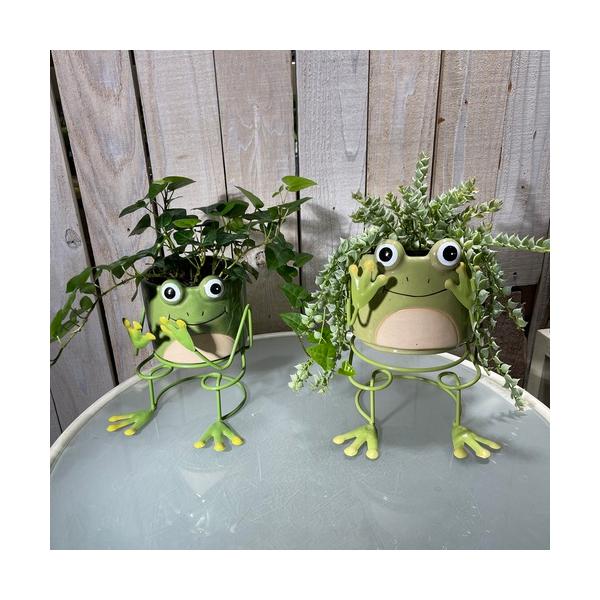 ■タグプランター 観葉植物 多肉植物 インテリア カエル好き キャラクター ガーデニング 園芸 インドアプランツ インテリアグリーン 花 苗 ギフト 贈り物 プレゼント お祝い 新生活 室内 入学 卒業 デスク 机 野川農園2025雑貨セール