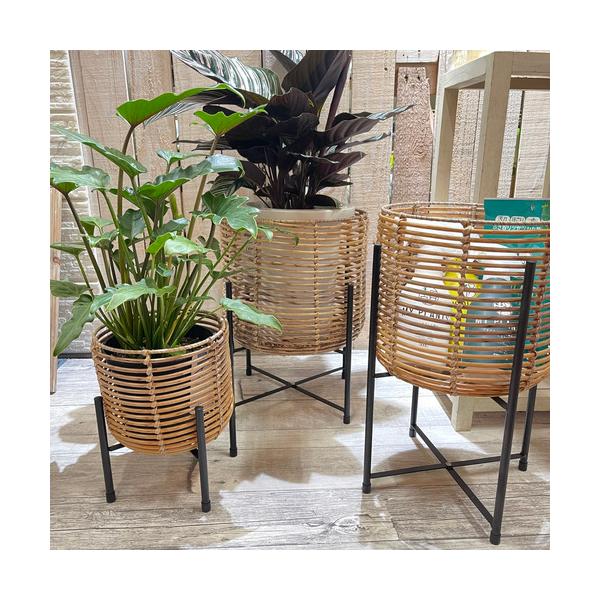 ■タグ室内 インテリアグリーン インドアグリーン 籐 汚れ 水に強い 園芸 小物入れ カワイイ ナチュラル 可愛い プレゼント ギフト 嬉しい 植物 花 自然 室内園芸 丈夫 インドアガーデン 植物好き 新生活 誕生日 記念日 リビング 寝...